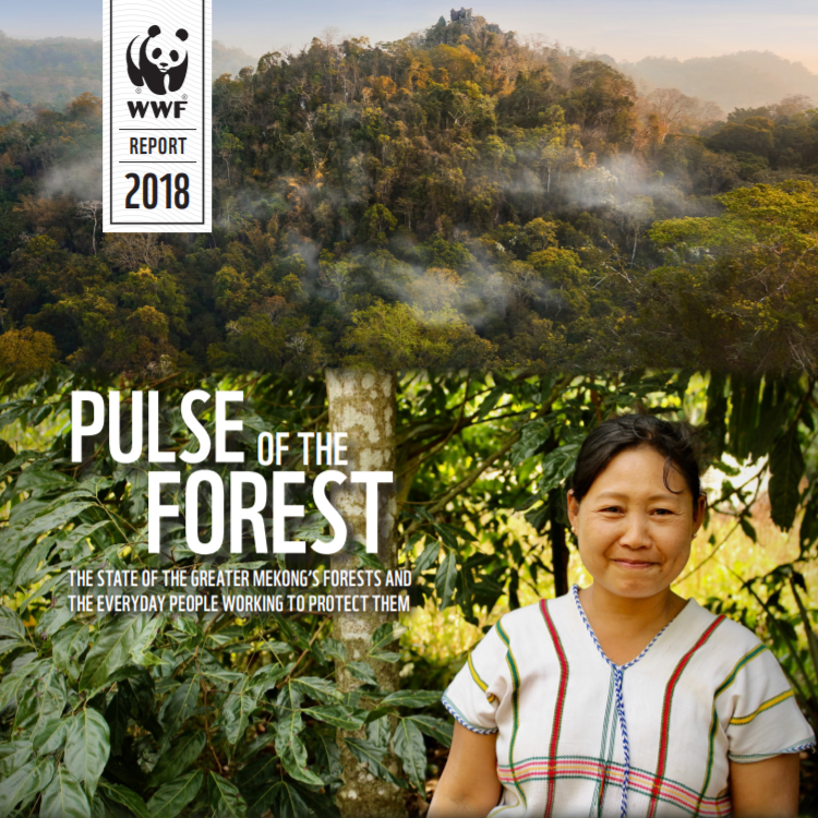 New Report: WWF Forest Pulse Report 2018 - Open Development Thailand
